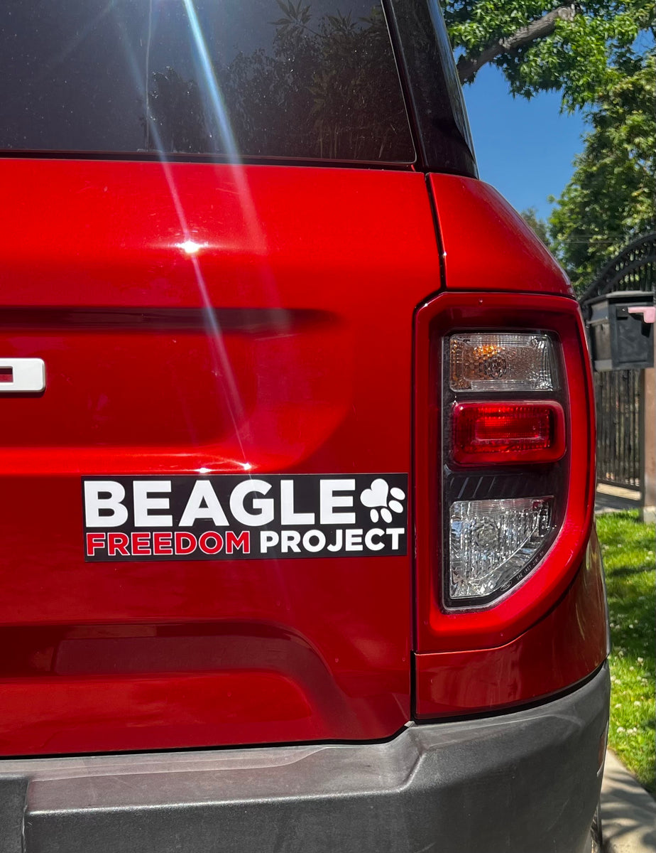 Magnets | BFP Logo Car Bumper Magnet – Beagle Freedom Project™