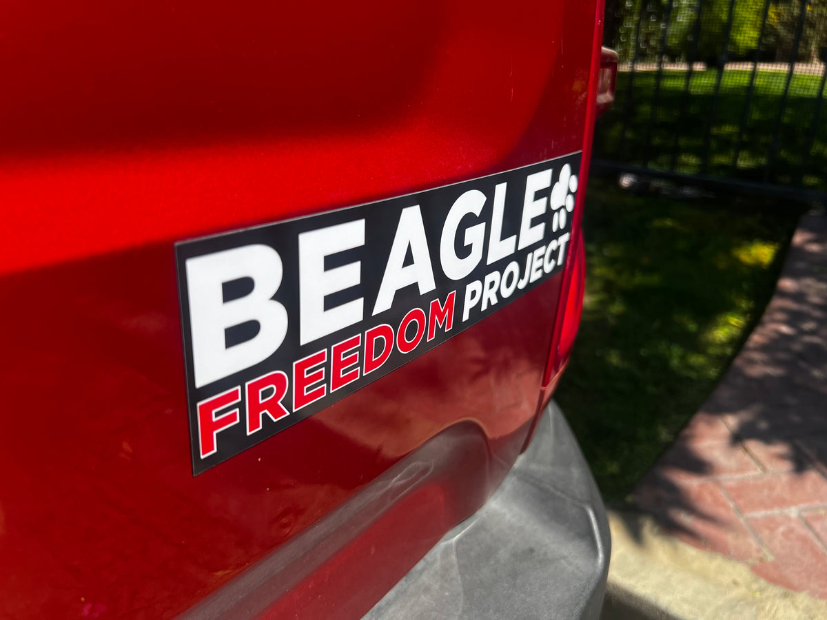Magnets | BFP Logo Car Bumper Magnet – Beagle Freedom Project™