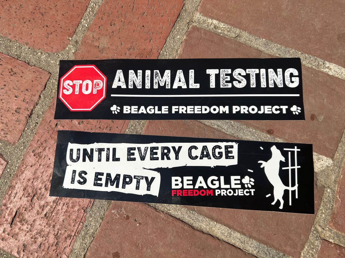 Bumper Sticker Combo Pack – Beagle Freedom Project™