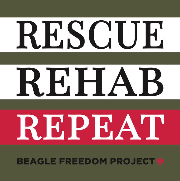 Stickers | BFP | Bundle – Beagle Freedom Project™