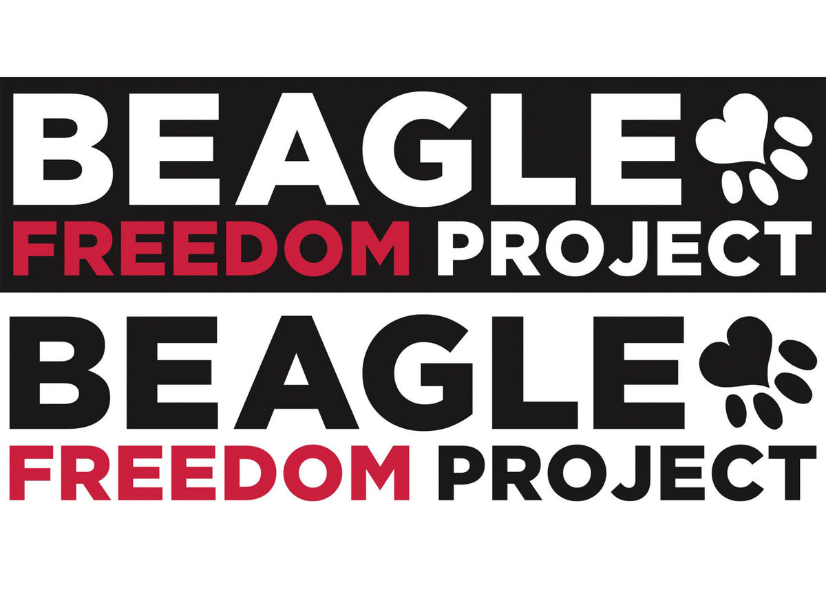 Stickers | Bumper Sticker | Combo Pack – Beagle Freedom Project™